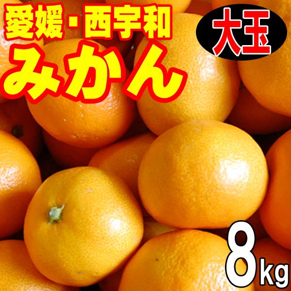 【発売日：2025年11月18日】愛媛産の温州みかん（早生温州、中生温州、普通温州・晩生温州）です。愛媛産のなかでも産地は西宇和になります。西宇和地区は八幡浜、真穴、三崎、瀬戸、伊方、保内、三瓶、等で構成された地区であり、日の丸みかん、真穴...