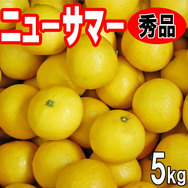 【発売日：2026年04月20日】【送料無料商品の一部例外地域について】・北海道1100円、沖縄1200円は別途申し受けます。バラ詰めの秀品です。LサイズまたはＭサイズです。