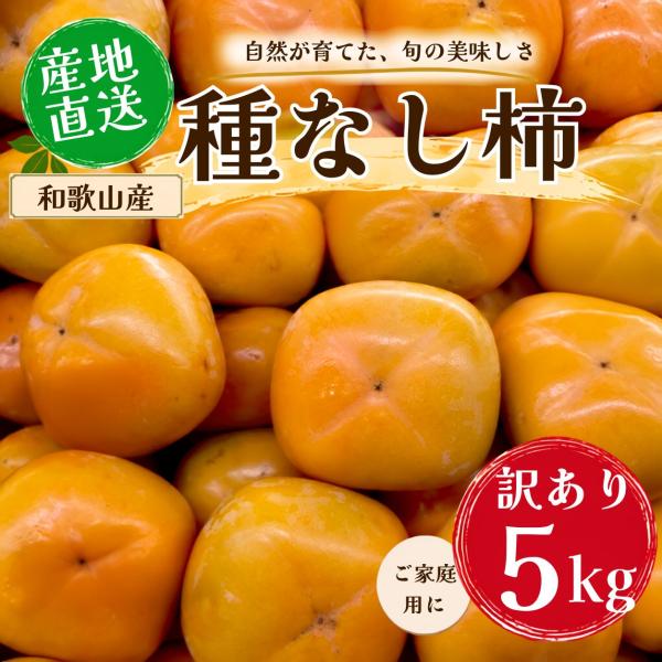 【品種】ご家庭用の傷多め・形不揃いの訳あり柿となります。・10月中旬まで → 刀根早生（とねわせ）・10月中旬〜11月初旬 → 平種無し柿　※どちらも「種なし・渋抜き済み」です。【内容量】約5キロ（資材込み）【原産地】和歌山県・奈良県【保存...