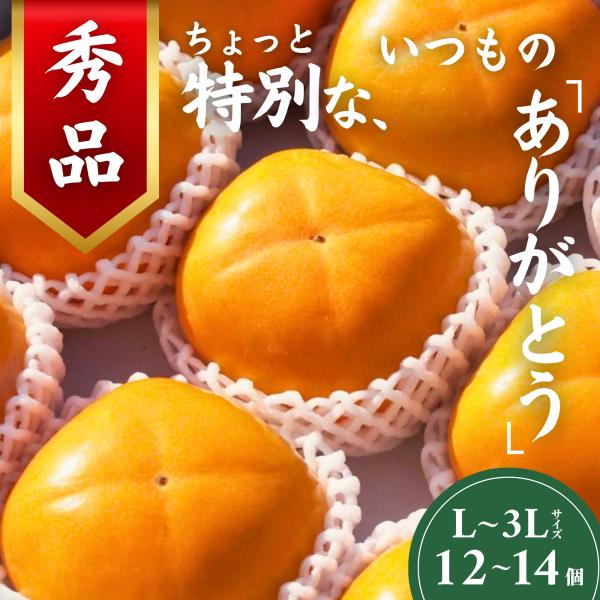 【発売日：2025年09月20日】【商品内容】秀品サイズはお選び頂けません。Lサイズ ・・・14玉入り2Lサイズ・・・13玉入り3Lサイズ・・・12玉入りギフト利用も安心、1玉ずつフルーツキャップで保護しています。【品種】10月中旬まで：刀...