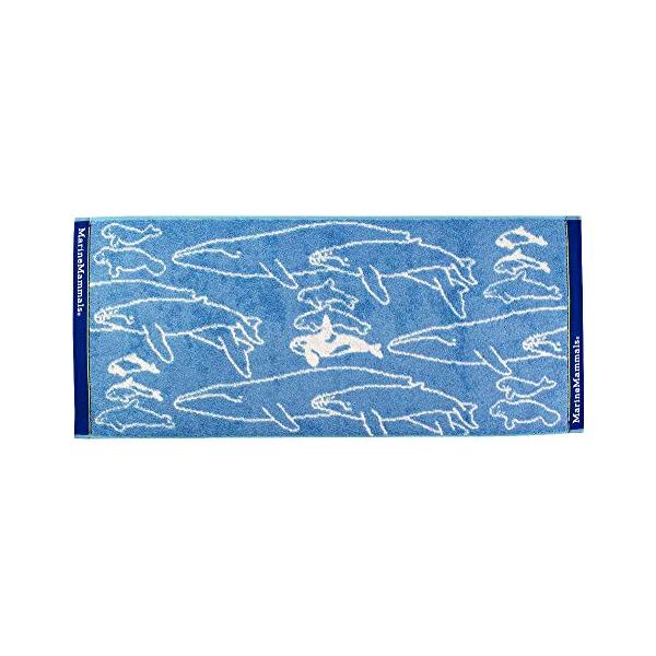 ※併売のため、在庫切れの際はご了承ください。発送委託により倉庫業者がお届けする場合がございます※【吸収性が高くソフトな肌触り】顔や手を拭くのに最適な、吸水性が高くやさしい肌ざわりが特徴の今治(いまばり)製フェイスタオル。【カロラータオリジナ...