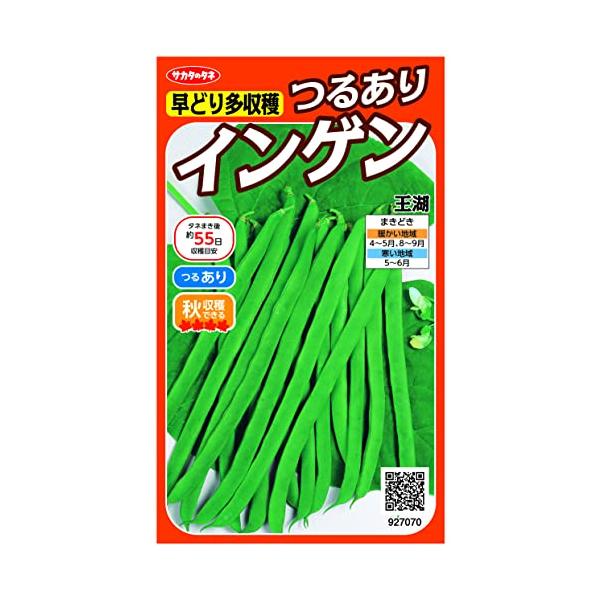 ※併売のため、在庫切れの際はご了承ください。発送委託により倉庫業者がお届けする場合がございます※切替月:11月詰量:26ml発芽率:85採苗本数:40春秋扱い:春秋兼用種春:○秋:○