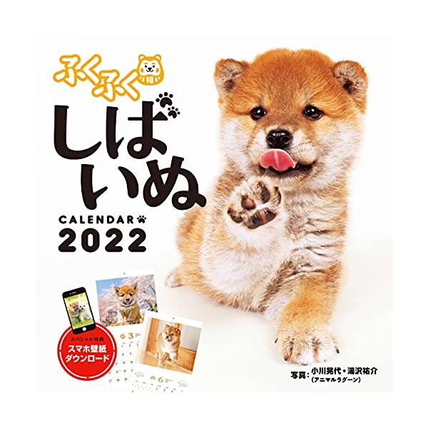 ※併売のため、在庫切れの際はご了承ください。発送委託により倉庫業者がお届けする場合がございます※ふくふくしばいぬ (インプレスカレンダー2022)