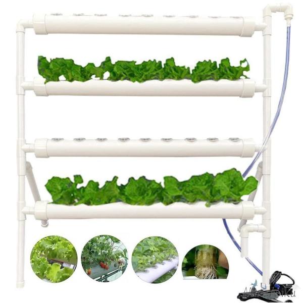 水耕栽培キット すいこう栽培キット いちご 野菜 栽培キット 室内 家庭菜園 水耕栽培セット プランター36穴 (36 穴)