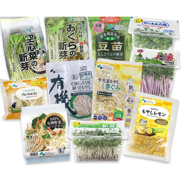 ※メーカー都合によりパッケージ等の外装面で異なる場合がございますので、あらかじめご了承くださいませ(免責) 画像は見本(イメージ)です。画像内に写った期限は撮影時のものであり、お届けする商品は期限内となります。詳細な期限については直接お問合...
