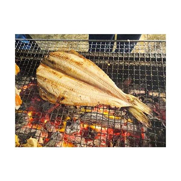 ※メーカー都合によりパッケージ等の外装面で異なる場合がございますので、あらかじめご了承くださいませ(免責) 画像は見本(イメージ)です。画像内に写った期限は撮影時のものであり、お届けする商品は期限内となります。詳細な期限については直接お問合...