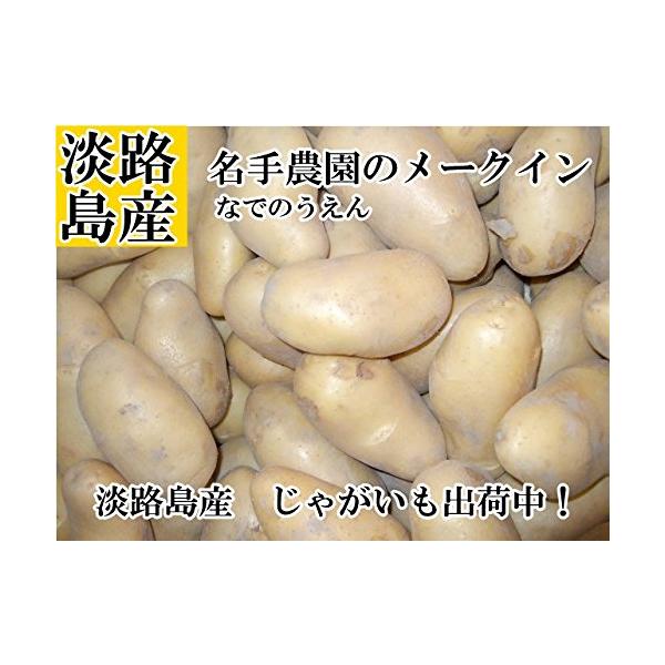 ※メーカー都合によりパッケージ等の外装面で異なる場合がございますので、あらかじめご了承くださいませ(免責) 画像は見本(イメージ)です。画像内に写った期限は撮影時のものであり、お届けする商品は期限内となります。詳細な期限については直接お問合...