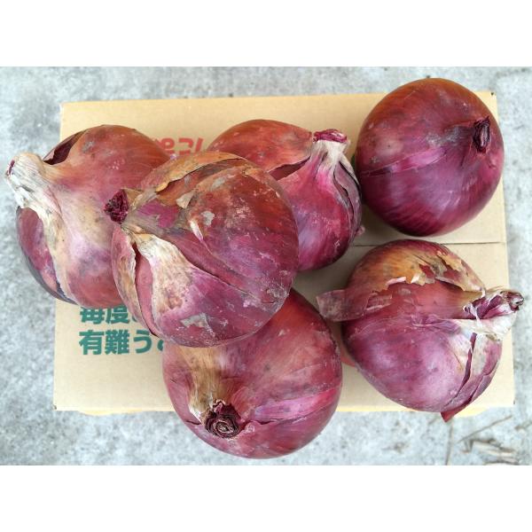 ※メーカー都合によりパッケージ等の外装面で異なる場合がございますので、あらかじめご了承くださいませ(免責) 画像は見本(イメージ)です。画像内に写った期限は撮影時のものであり、お届けする商品は期限内となります。詳細な期限については直接お問合...