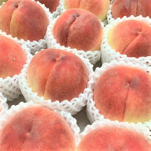 ※メーカー都合によりパッケージ等の外装面で異なる場合がございますので、あらかじめご了承くださいませ(免責) 画像は見本(イメージ)です。画像内に写った期限は撮影時のものであり、お届けする商品は期限内となります。詳細な期限については直接お問合...