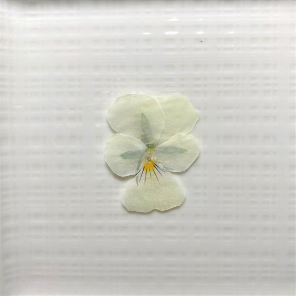 ※メーカー都合によりパッケージ等の外装面で異なる場合がございますので、あらかじめご了承くださいませ(免責) 画像は見本(イメージ)です。画像内に写った期限は撮影時のものであり、お届けする商品は期限内となります。詳細な期限については直接お問合...