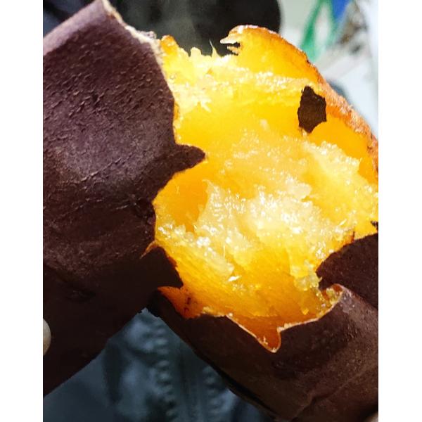 ※メーカー都合によりパッケージ等の外装面で異なる場合がございますので、あらかじめご了承くださいませ(免責) 画像は見本(イメージ)です。画像内に写った期限は撮影時のものであり、お届けする商品は期限内となります。詳細な期限については直接お問合...