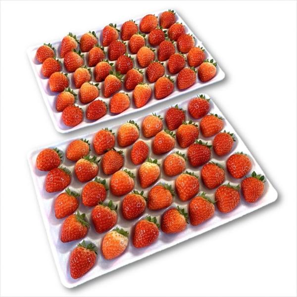 ※メーカー都合によりパッケージ等の外装面で異なる場合がございますので、あらかじめご了承くださいませ(免責) 画像は見本(イメージ)です。画像内に写った期限は撮影時のものであり、お届けする商品は期限内となります。詳細な期限については直接お問合...