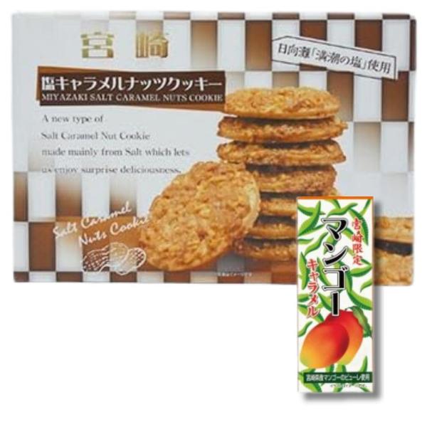 ※メーカー都合によりパッケージ等の外装面で異なる場合がございますので、あらかじめご了承くださいませ(免責) 画像は見本(イメージ)です。画像内に写った期限は撮影時のものであり、お届けする商品は期限内となります。詳細な期限については直接お問合...
