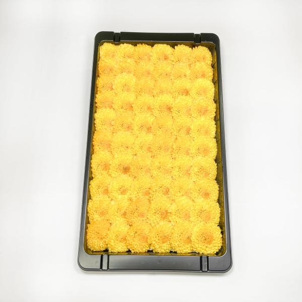 ※メーカー都合によりパッケージ等の外装面で異なる場合がございますので、あらかじめご了承くださいませ(免責) 画像は見本(イメージ)です。画像内に写った期限は撮影時のものであり、お届けする商品は期限内となります。詳細な期限については直接お問合...