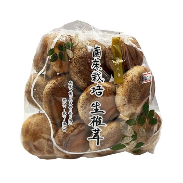 ※メーカー都合によりパッケージ等の外装面で異なる場合がございますので、あらかじめご了承くださいませ(免責) 画像は見本(イメージ)です。画像内に写った期限は撮影時のものであり、お届けする商品は期限内となります。詳細な期限については直接お問合...