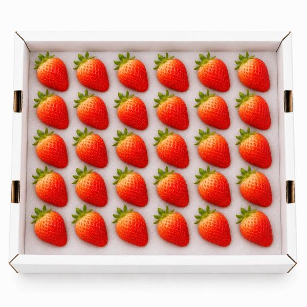 ※メーカー都合によりパッケージ等の外装面で異なる場合がございますので、あらかじめご了承くださいませ(免責) 画像は見本(イメージ)です。画像内に写った期限は撮影時のものであり、お届けする商品は期限内となります。詳細な期限については直接お問合...