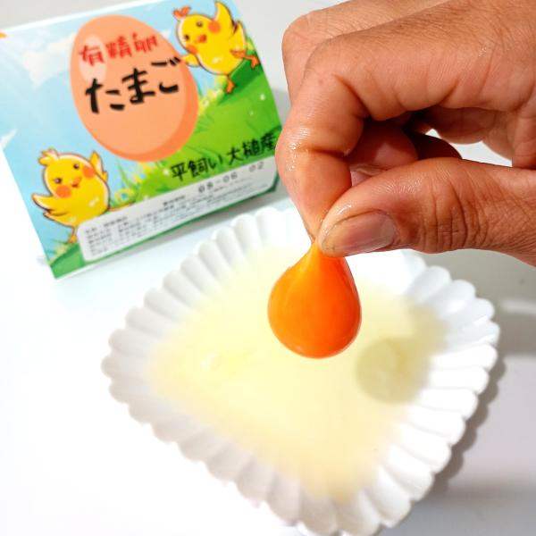 ※メーカー都合によりパッケージ等の外装面で異なる場合がございますので、あらかじめご了承くださいませ(免責) 画像は見本(イメージ)です。画像内に写った期限は撮影時のものであり、お届けする商品は期限内となります。詳細な期限については直接お問合...