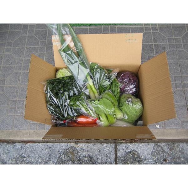 ※メーカー都合によりパッケージ等の外装面で異なる場合がございますので、あらかじめご了承くださいませ(免責) 画像は見本(イメージ)です。画像内に写った期限は撮影時のものであり、お届けする商品は期限内となります。詳細な期限については直接お問合...