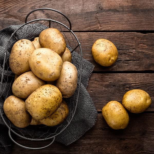 ※メーカー都合によりパッケージ等の外装面で異なる場合がございますので、あらかじめご了承くださいませ(免責) 画像は見本(イメージ)です。画像内に写った期限は撮影時のものであり、お届けする商品は期限内となります。詳細な期限については直接お問合...