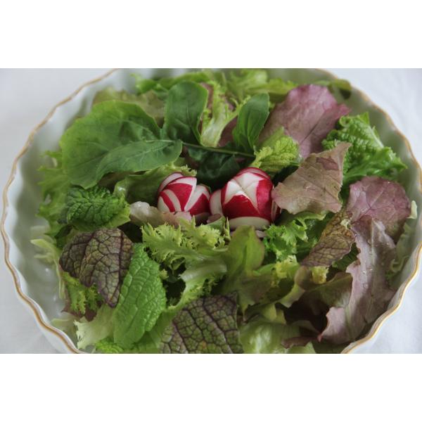 ※メーカー都合によりパッケージ等の外装面で異なる場合がございますので、あらかじめご了承くださいませ(免責) 画像は見本(イメージ)です。画像内に写った期限は撮影時のものであり、お届けする商品は期限内となります。詳細な期限については直接お問合...