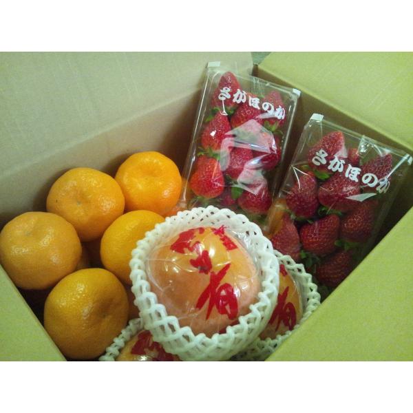 ※メーカー都合によりパッケージ等の外装面で異なる場合がございますので、あらかじめご了承くださいませ(免責) 画像は見本(イメージ)です。画像内に写った期限は撮影時のものであり、お届けする商品は期限内となります。詳細な期限については直接お問合...