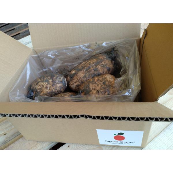 ※メーカー都合によりパッケージ等の外装面で異なる場合がございますので、あらかじめご了承くださいませ(免責) 画像は見本(イメージ)です。画像内に写った期限は撮影時のものであり、お届けする商品は期限内となります。詳細な期限については直接お問合...