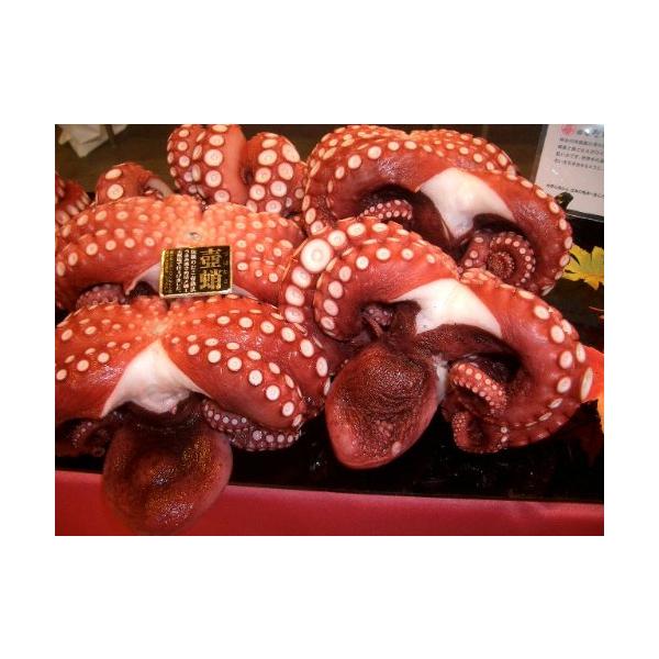 ※メーカー都合によりパッケージ等の外装面で異なる場合がございますので、あらかじめご了承くださいませ(免責) 画像は見本(イメージ)です。画像内に写った期限は撮影時のものであり、お届けする商品は期限内となります。詳細な期限については直接お問合...