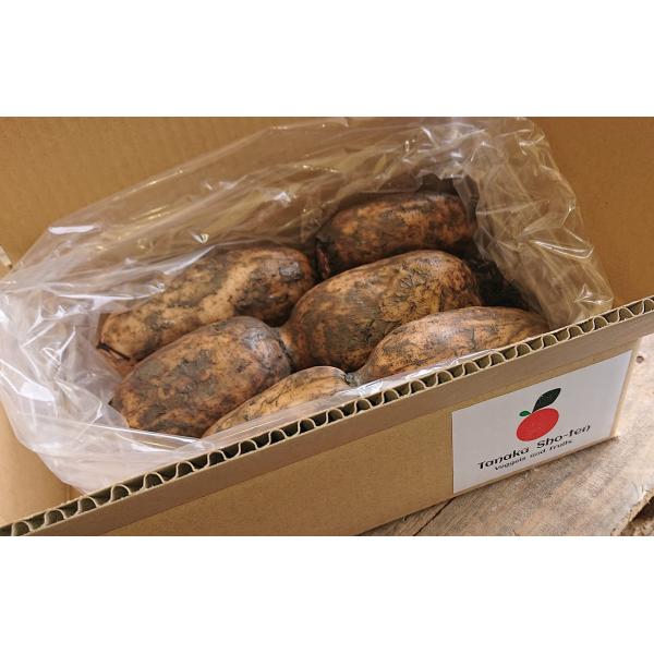 ※メーカー都合によりパッケージ等の外装面で異なる場合がございますので、あらかじめご了承くださいませ(免責) 画像は見本(イメージ)です。画像内に写った期限は撮影時のものであり、お届けする商品は期限内となります。詳細な期限については直接お問合...