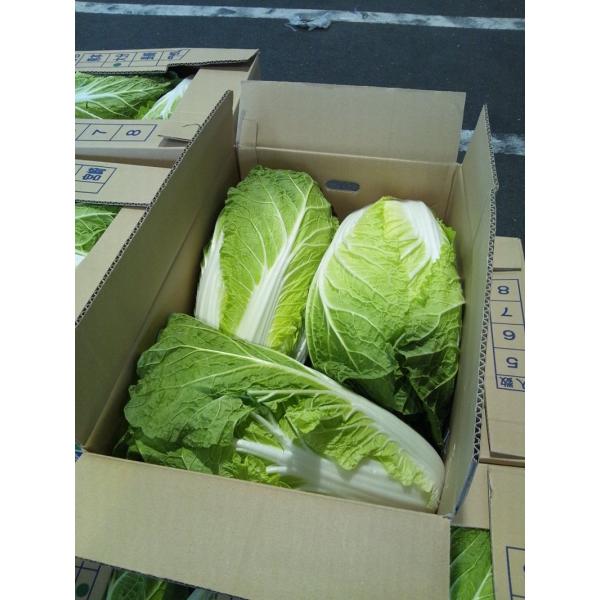 ※メーカー都合によりパッケージ等の外装面で異なる場合がございますので、あらかじめご了承くださいませ(免責) 画像は見本(イメージ)です。画像内に写った期限は撮影時のものであり、お届けする商品は期限内となります。詳細な期限については直接お問合...