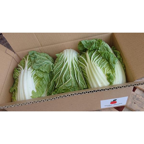 ※メーカー都合によりパッケージ等の外装面で異なる場合がございますので、あらかじめご了承くださいませ(免責) 画像は見本(イメージ)です。画像内に写った期限は撮影時のものであり、お届けする商品は期限内となります。詳細な期限については直接お問合...