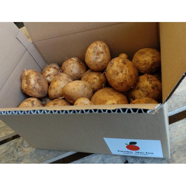 ※メーカー都合によりパッケージ等の外装面で異なる場合がございますので、あらかじめご了承くださいませ(免責) 画像は見本(イメージ)です。画像内に写った期限は撮影時のものであり、お届けする商品は期限内となります。詳細な期限については直接お問合...