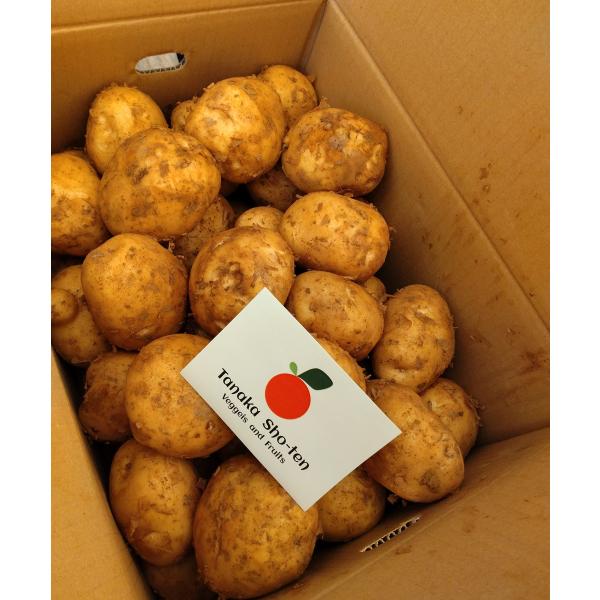 ※メーカー都合によりパッケージ等の外装面で異なる場合がございますので、あらかじめご了承くださいませ(免責) 画像は見本(イメージ)です。画像内に写った期限は撮影時のものであり、お届けする商品は期限内となります。詳細な期限については直接お問合...