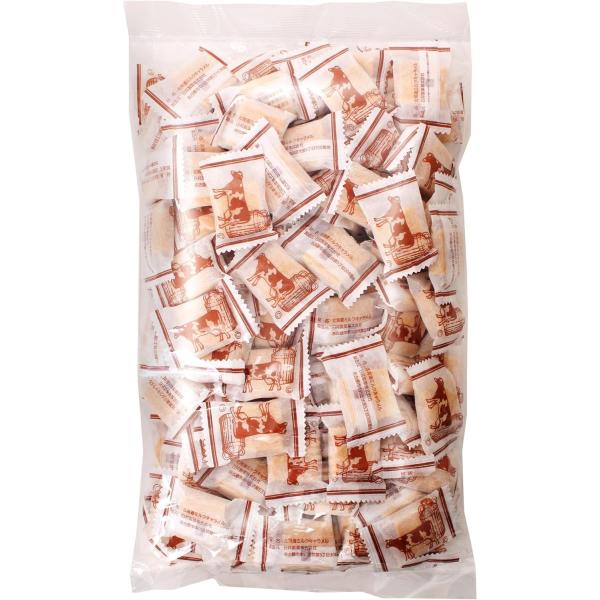 ※メーカー都合によりパッケージ等の外装面で異なる場合がございますので、あらかじめご了承くださいませ(免責) 画像は見本(イメージ)です。画像内に写った期限は撮影時のものであり、お届けする商品は期限内となります。詳細な期限については直接お問合...