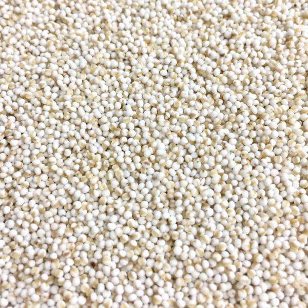 ※メーカー都合によりパッケージ等の外装面で異なる場合がございますので、あらかじめご了承くださいませ(免責) 画像は見本(イメージ)です。画像内に写った期限は撮影時のものであり、お届けする商品は期限内となります。詳細な期限については直接お問合...