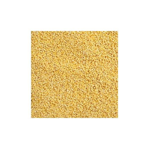 ※メーカー都合によりパッケージ等の外装面で異なる場合がございますので、あらかじめご了承くださいませ(免責) 画像は見本(イメージ)です。画像内に写った期限は撮影時のものであり、お届けする商品は期限内となります。詳細な期限については直接お問合...