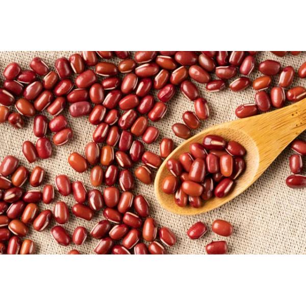 ※メーカー都合によりパッケージ等の外装面で異なる場合がございますので、あらかじめご了承くださいませ(免責) 画像は見本(イメージ)です。画像内に写った期限は撮影時のものであり、お届けする商品は期限内となります。詳細な期限については直接お問合...