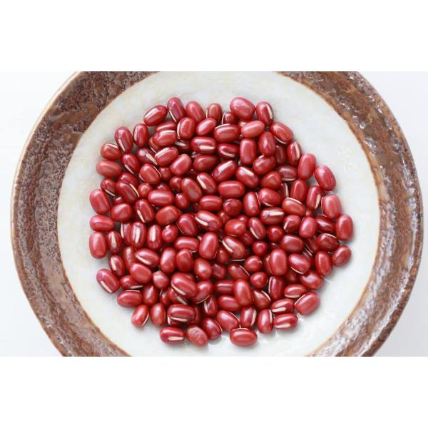 ※メーカー都合によりパッケージ等の外装面で異なる場合がございますので、あらかじめご了承くださいませ(免責) 画像は見本(イメージ)です。画像内に写った期限は撮影時のものであり、お届けする商品は期限内となります。詳細な期限については直接お問合...