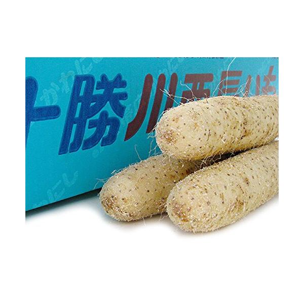 ※メーカー都合によりパッケージ等の外装面で異なる場合がございますので、あらかじめご了承くださいませ(免責) 画像は見本(イメージ)です。画像内に写った期限は撮影時のものであり、お届けする商品は期限内となります。詳細な期限については直接お問合...