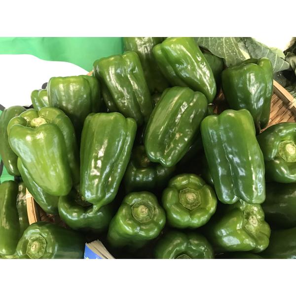 ※メーカー都合によりパッケージ等の外装面で異なる場合がございますので、あらかじめご了承くださいませ(免責) 画像は見本(イメージ)です。画像内に写った期限は撮影時のものであり、お届けする商品は期限内となります。詳細な期限については直接お問合...