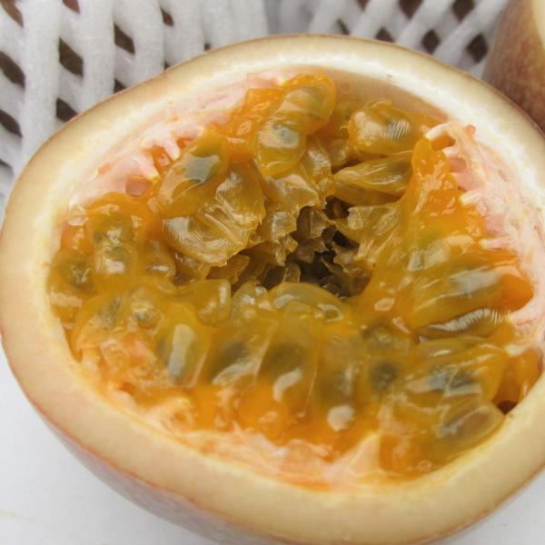 ※メーカー都合によりパッケージ等の外装面で異なる場合がございますので、あらかじめご了承くださいませ(免責) 画像は見本(イメージ)です。画像内に写った期限は撮影時のものであり、お届けする商品は期限内となります。詳細な期限については直接お問合...