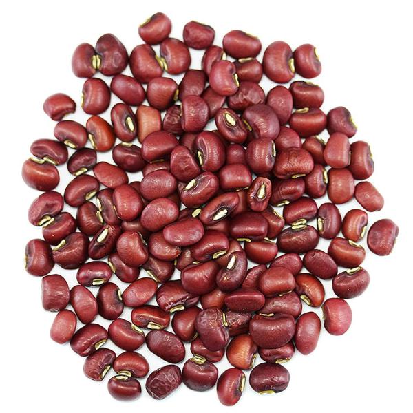 ※メーカー都合によりパッケージ等の外装面で異なる場合がございますので、あらかじめご了承くださいませ(免責) 画像は見本(イメージ)です。画像内に写った期限は撮影時のものであり、お届けする商品は期限内となります。詳細な期限については直接お問合...