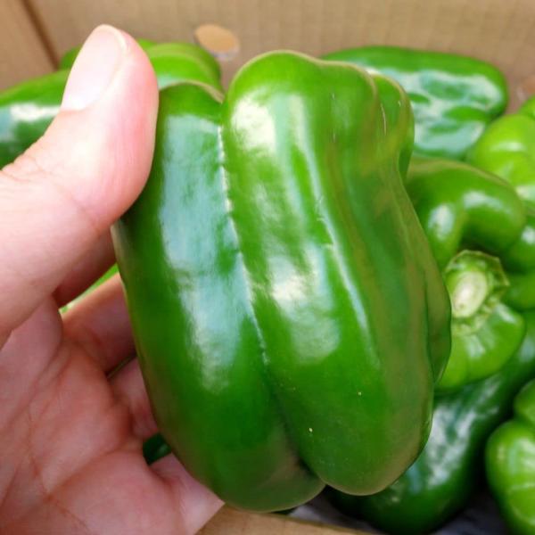 ※メーカー都合によりパッケージ等の外装面で異なる場合がございますので、あらかじめご了承くださいませ(免責) 画像は見本(イメージ)です。画像内に写った期限は撮影時のものであり、お届けする商品は期限内となります。詳細な期限については直接お問合...