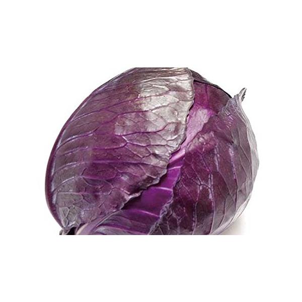 ※メーカー都合によりパッケージ等の外装面で異なる場合がございますので、あらかじめご了承くださいませ(免責) 画像は見本(イメージ)です。画像内に写った期限は撮影時のものであり、お届けする商品は期限内となります。詳細な期限については直接お問合...