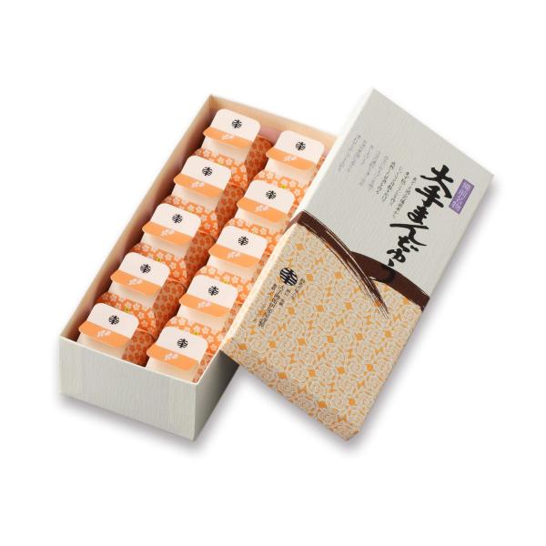 ※メーカー都合によりパッケージ等の外装面で異なる場合がございますので、あらかじめご了承くださいませ(免責) 画像は見本(イメージ)です。画像内に写った期限は撮影時のものであり、お届けする商品は期限内となります。詳細な期限については直接お問合...