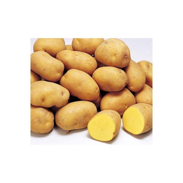 ※メーカー都合によりパッケージ等の外装面で異なる場合がございますので、あらかじめご了承くださいませ(免責) 画像は見本(イメージ)です。画像内に写った期限は撮影時のものであり、お届けする商品は期限内となります。詳細な期限については直接お問合...