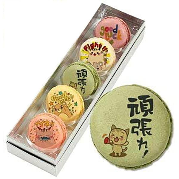 ※メーカー都合によりパッケージ等の外装面で異なる場合がございますので、あらかじめご了承くださいませ(免責) 画像は見本(イメージ)です。画像内に写った期限は撮影時のものであり、お届けする商品は期限内となります。詳細な期限については直接お問合...