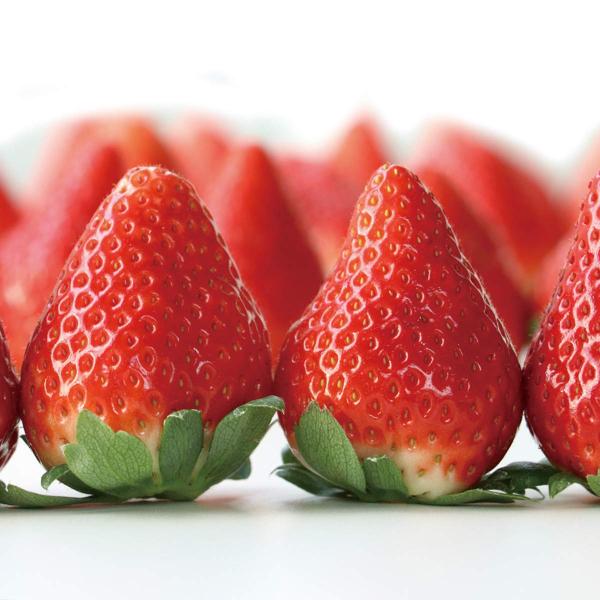 ※メーカー都合によりパッケージ等の外装面で異なる場合がございますので、あらかじめご了承くださいませ(免責) 画像は見本(イメージ)です。画像内に写った期限は撮影時のものであり、お届けする商品は期限内となります。詳細な期限については直接お問合...