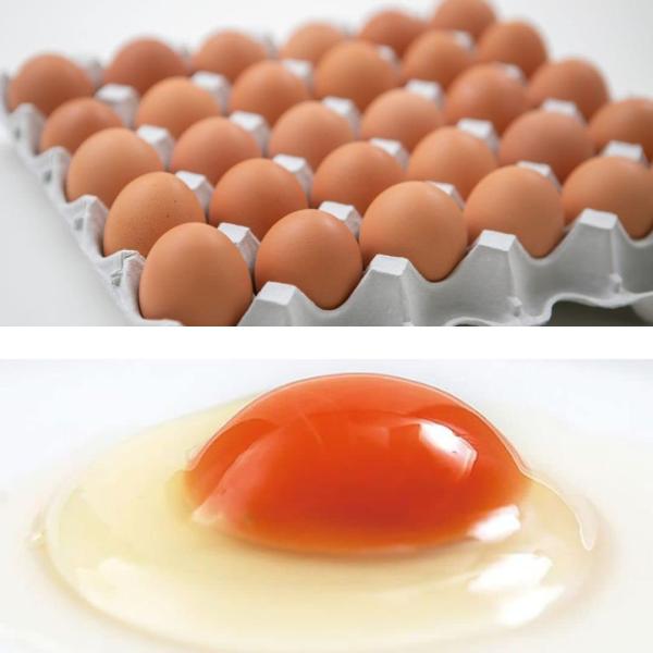 ※メーカー都合によりパッケージ等の外装面で異なる場合がございますので、あらかじめご了承くださいませ(免責) 画像は見本(イメージ)です。画像内に写った期限は撮影時のものであり、お届けする商品は期限内となります。詳細な期限については直接お問合...