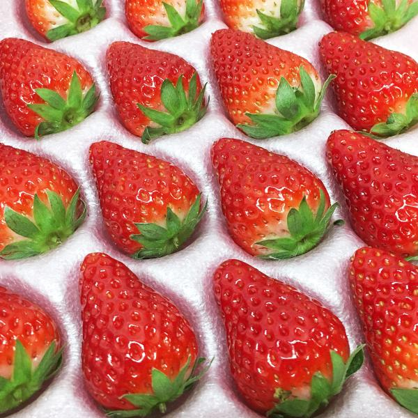 ※メーカー都合によりパッケージ等の外装面で異なる場合がございますので、あらかじめご了承くださいませ(免責) 画像は見本(イメージ)です。画像内に写った期限は撮影時のものであり、お届けする商品は期限内となります。詳細な期限については直接お問合...