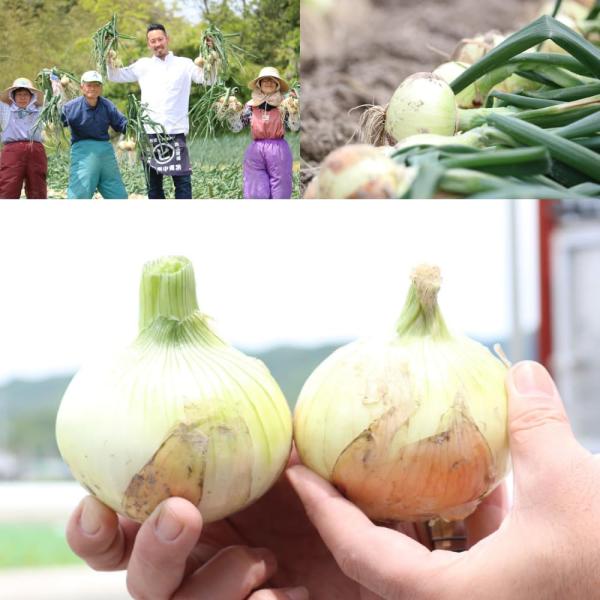 ※メーカー都合によりパッケージ等の外装面で異なる場合がございますので、あらかじめご了承くださいませ(免責) 画像は見本(イメージ)です。画像内に写った期限は撮影時のものであり、お届けする商品は期限内となります。詳細な期限については直接お問合...